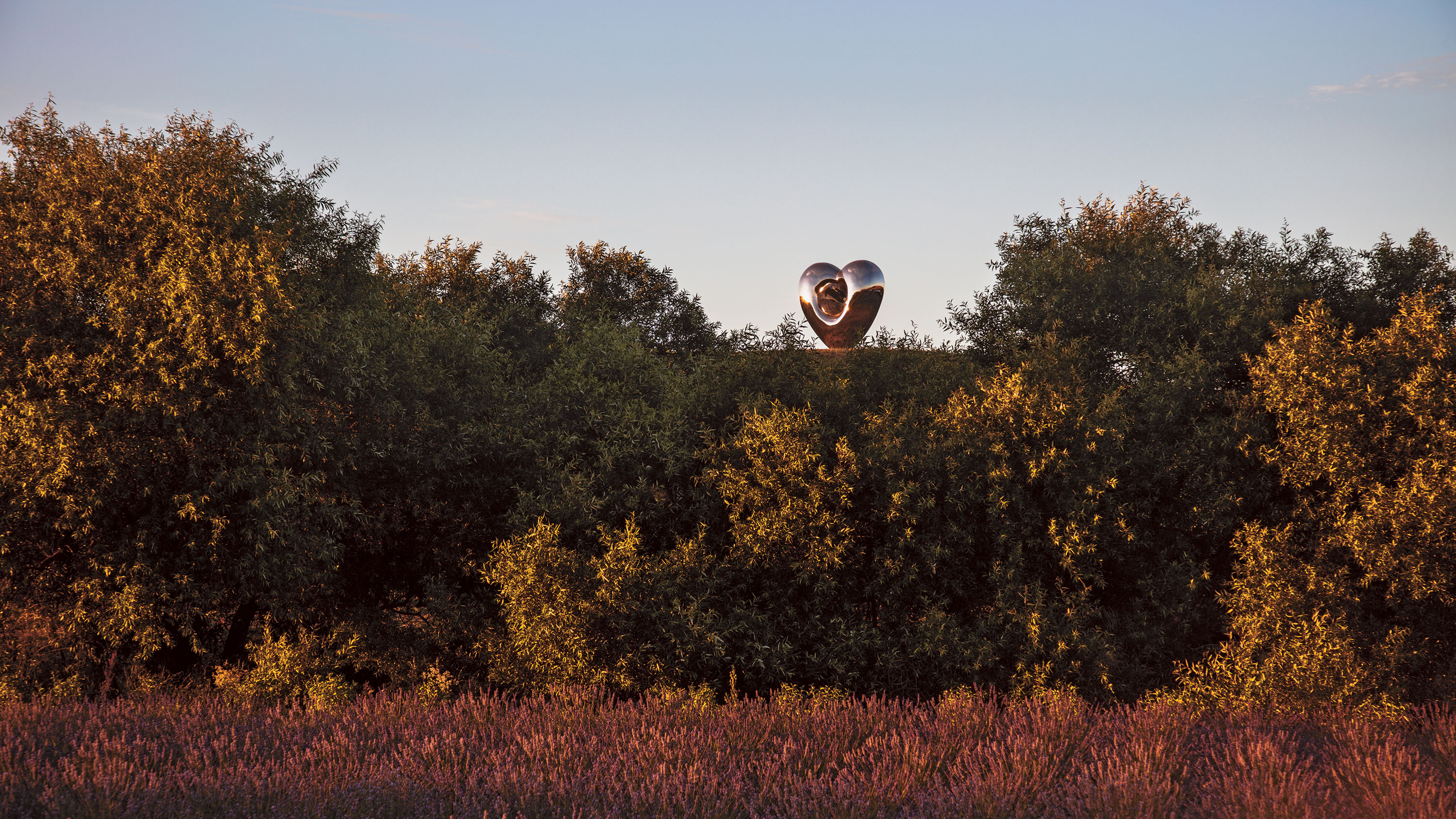 Welcome - The Donum Estate