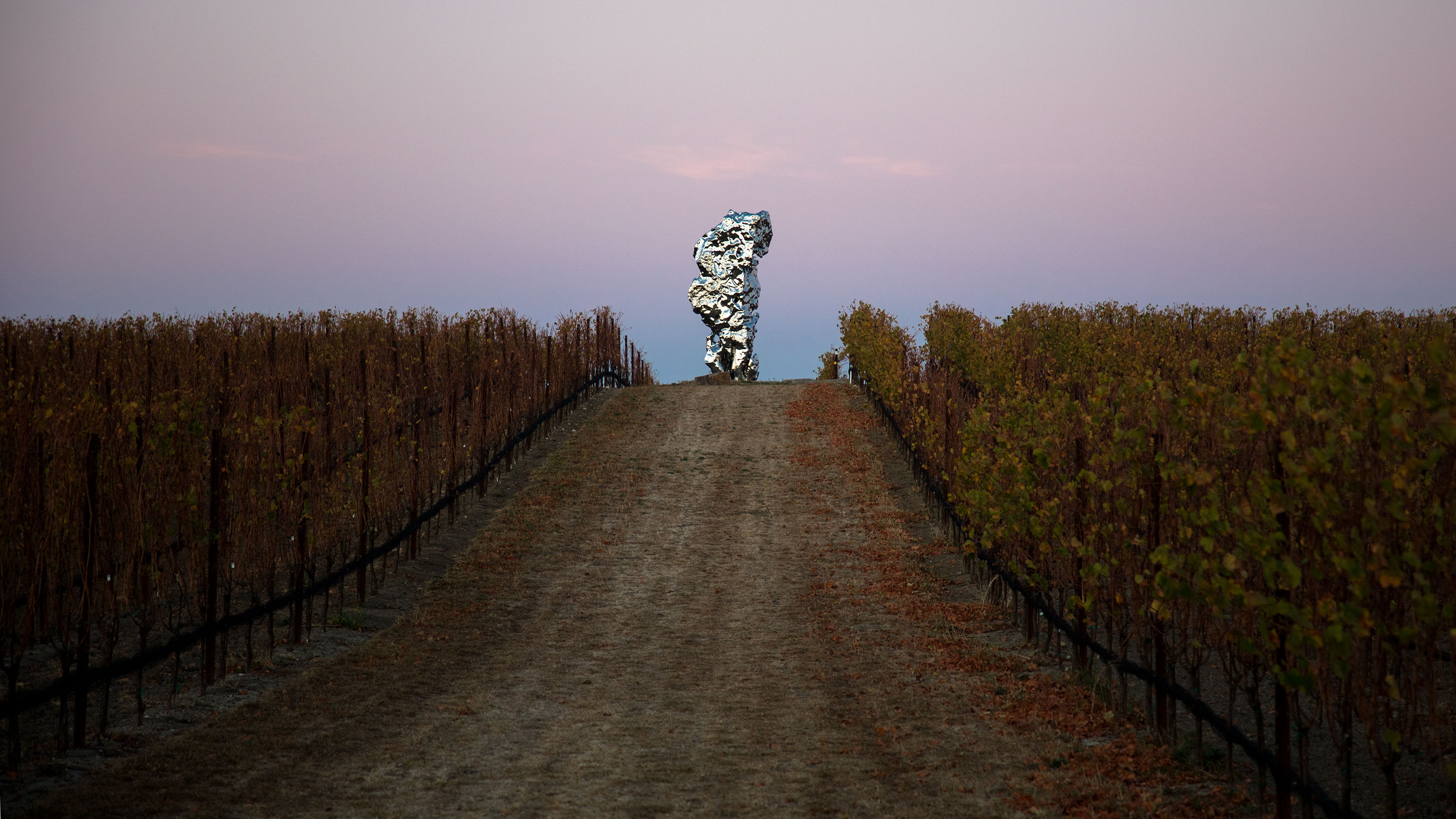 Visiting - The Donum Estate