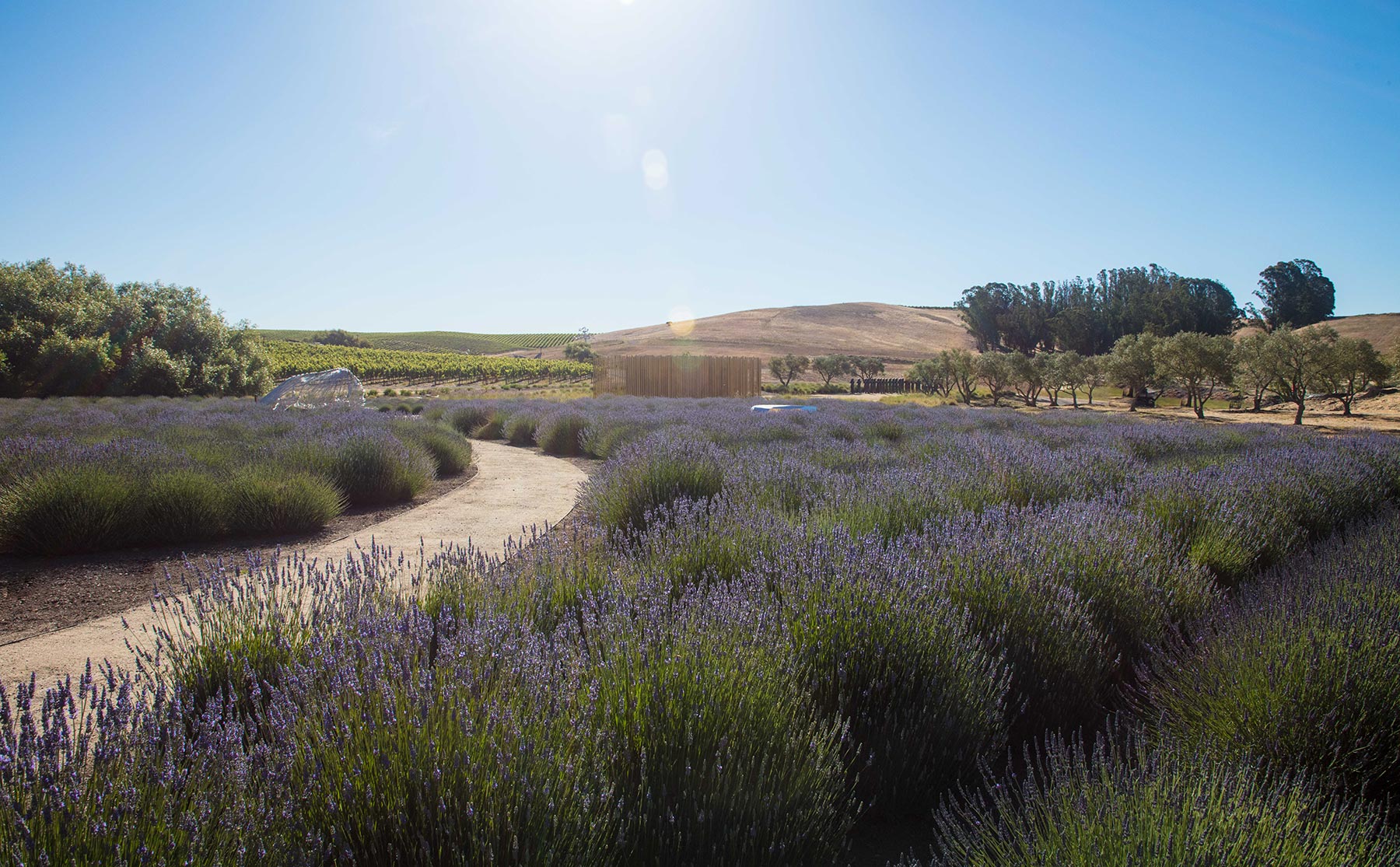 Visit - The Donum Estate